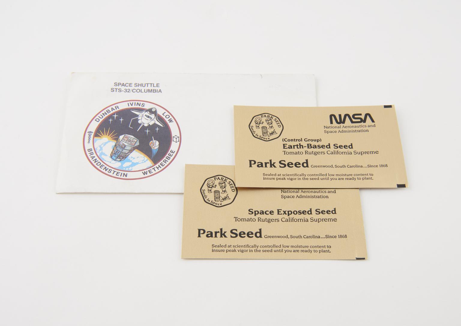 Unearthing seeds in our collection - Science Museum Group Blog