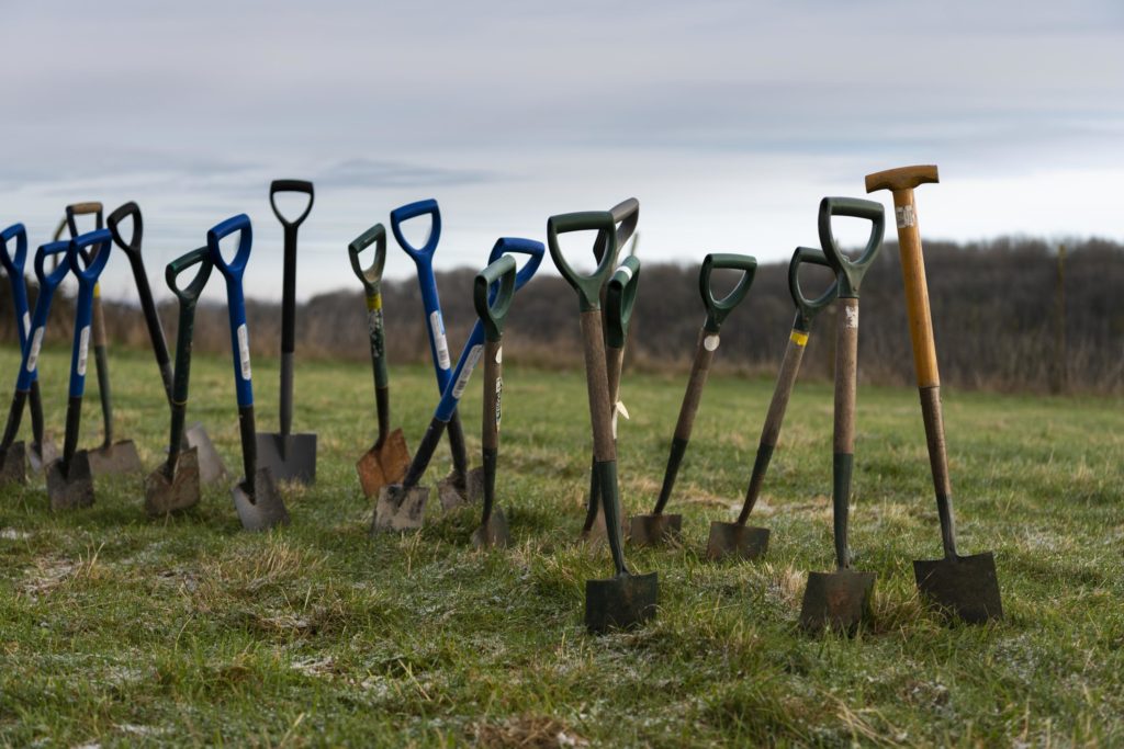 Tree planting - Science Museum Group Blog