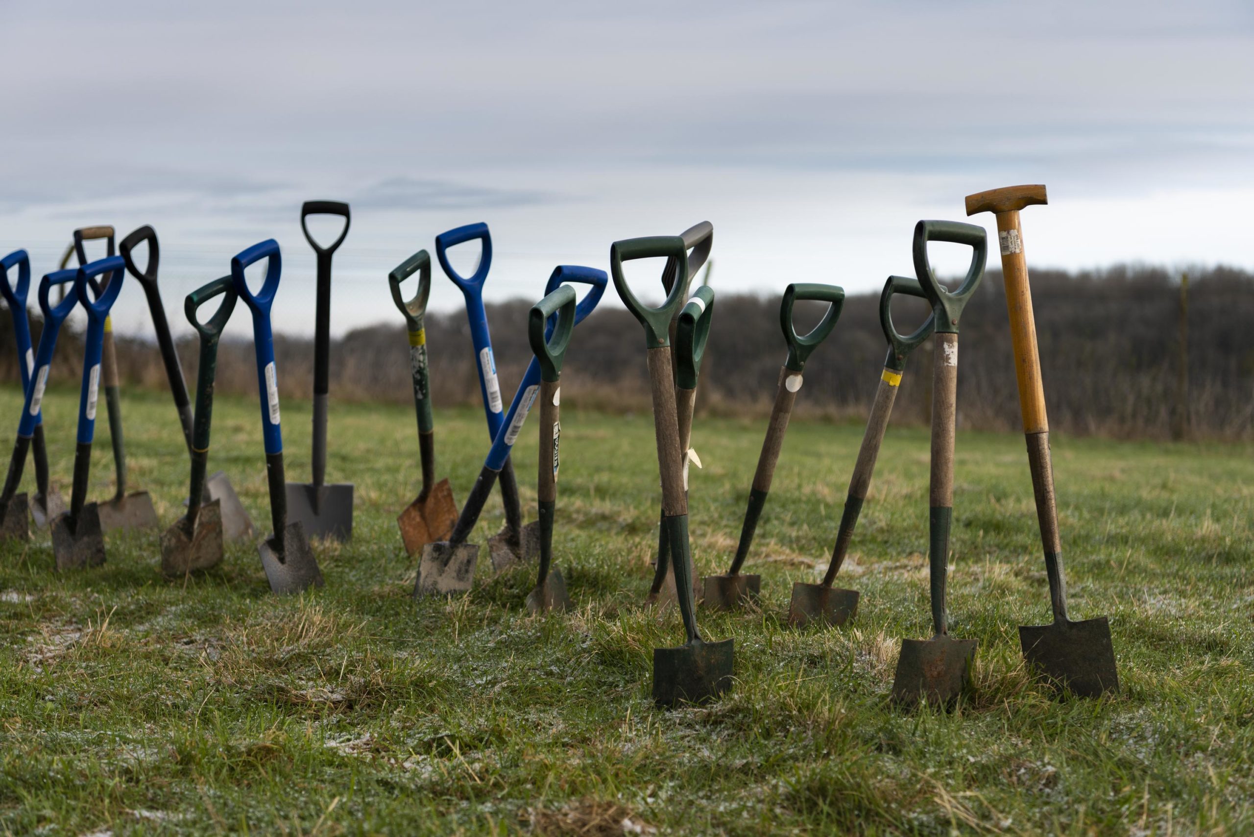 Tree planting - Science Museum Group Blog