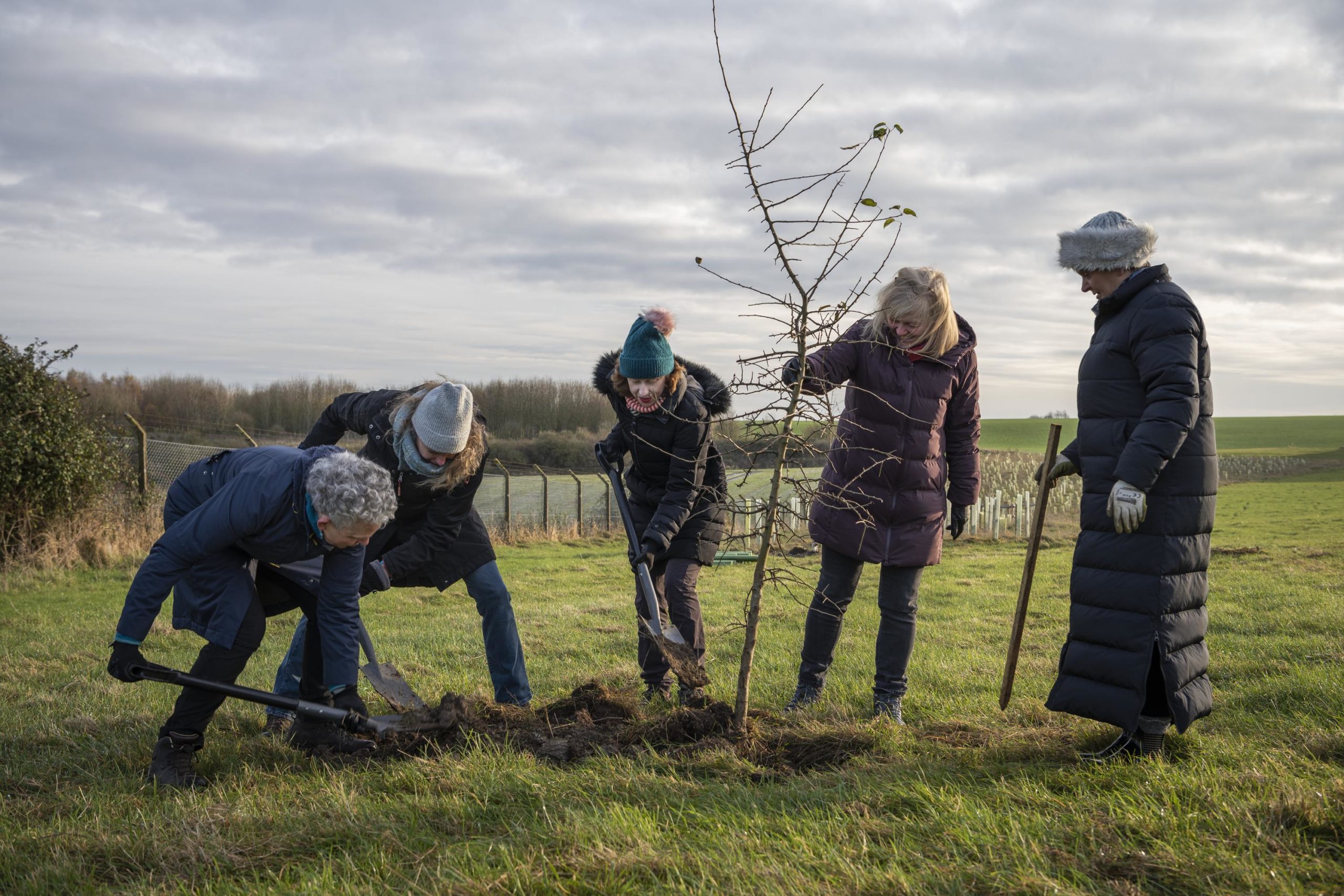 Tree planting - Science Museum Group Blog