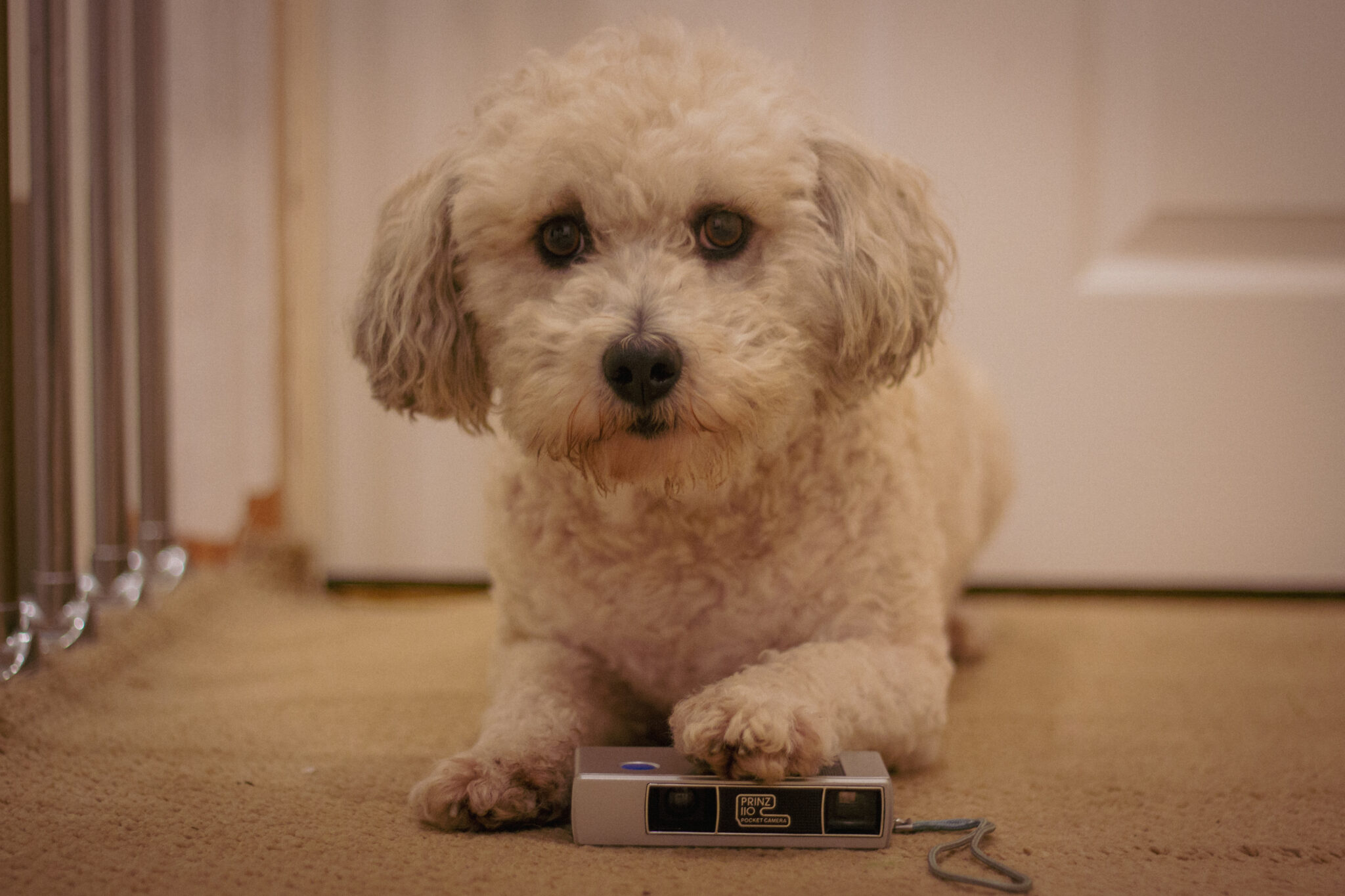 New for Old: A story of amateur photography - Science Museum Group Blog