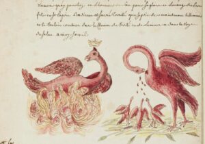 From alchemy to astronomy: Practitioners of science and magic in ...