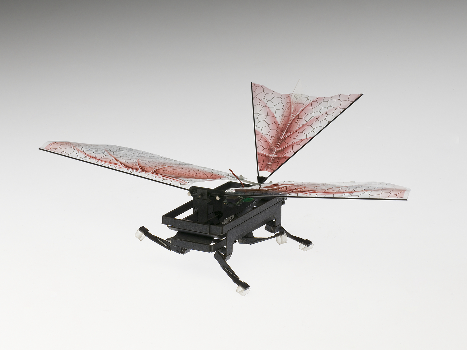 From Best in Show to creature comforts: Centuries of robotic animals ...