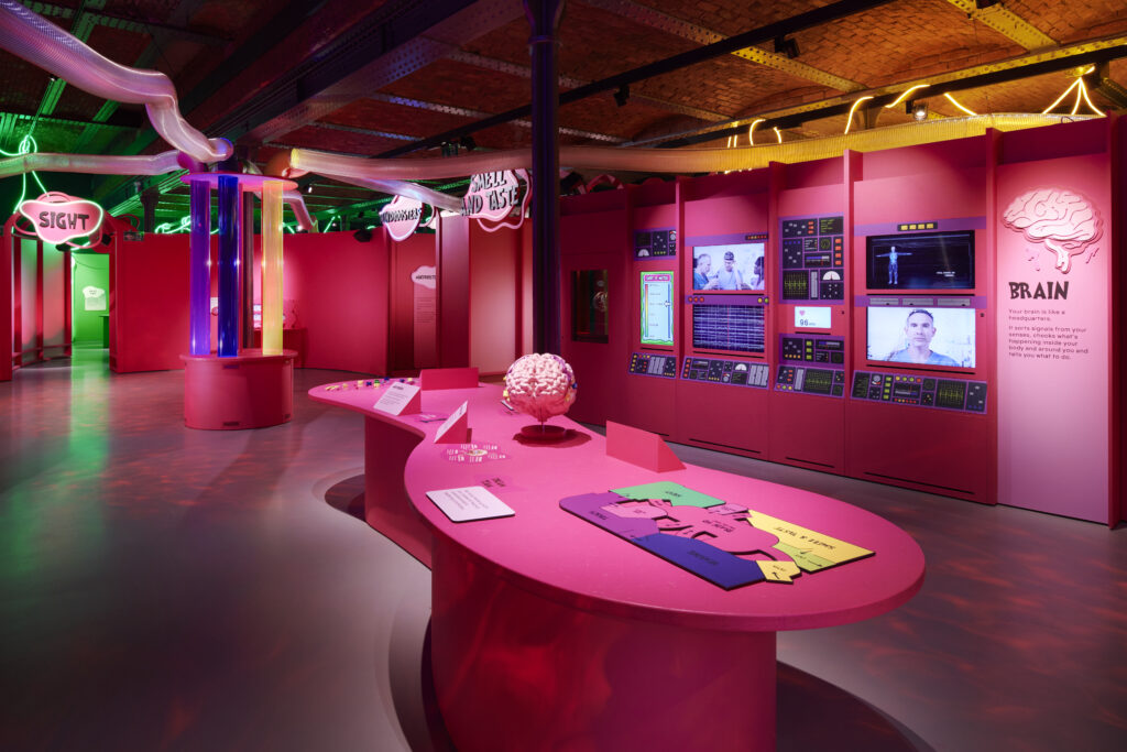 Designing an accessible exhibition: Operation Ouch! Brains, Bogies and You - Science Museum ...